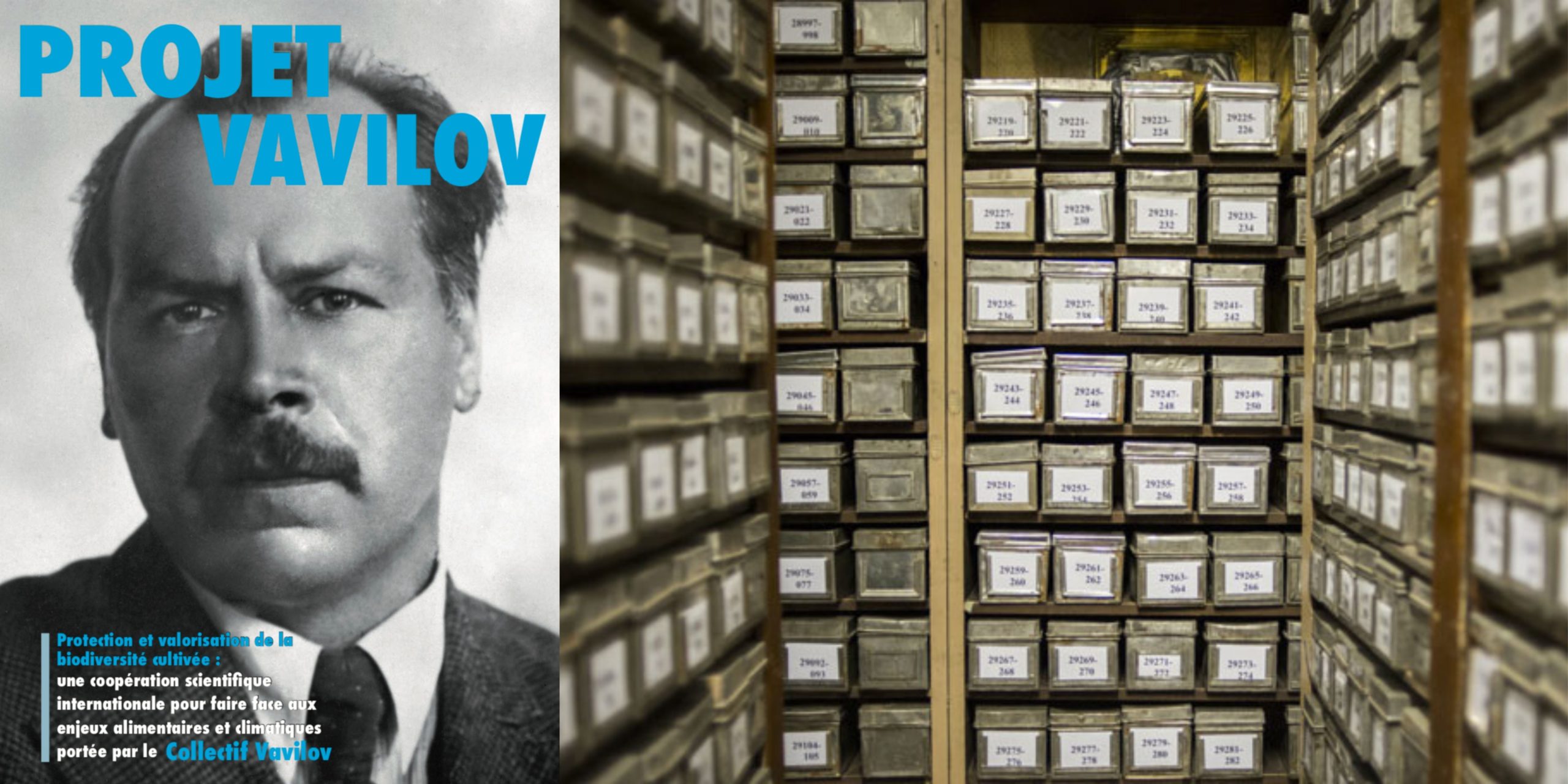 VAVILOV, le Grenier du Monde - Courant 812